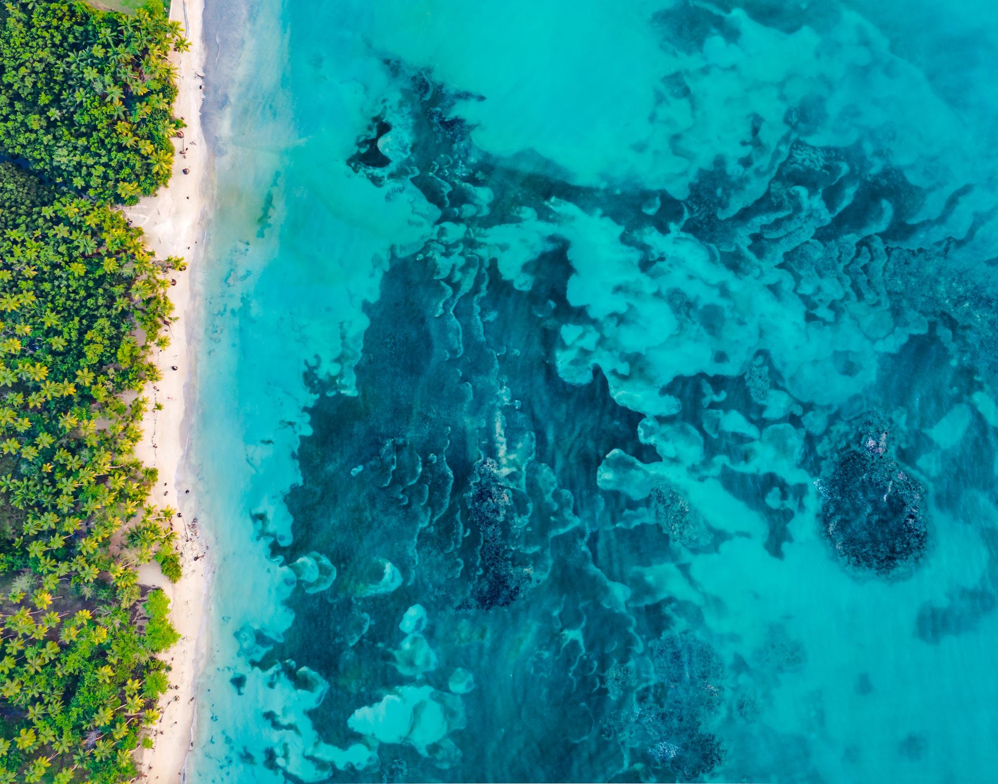 Top Down Ocean Shore Texture Las Terrenas Dominican Republic | Kevin ...